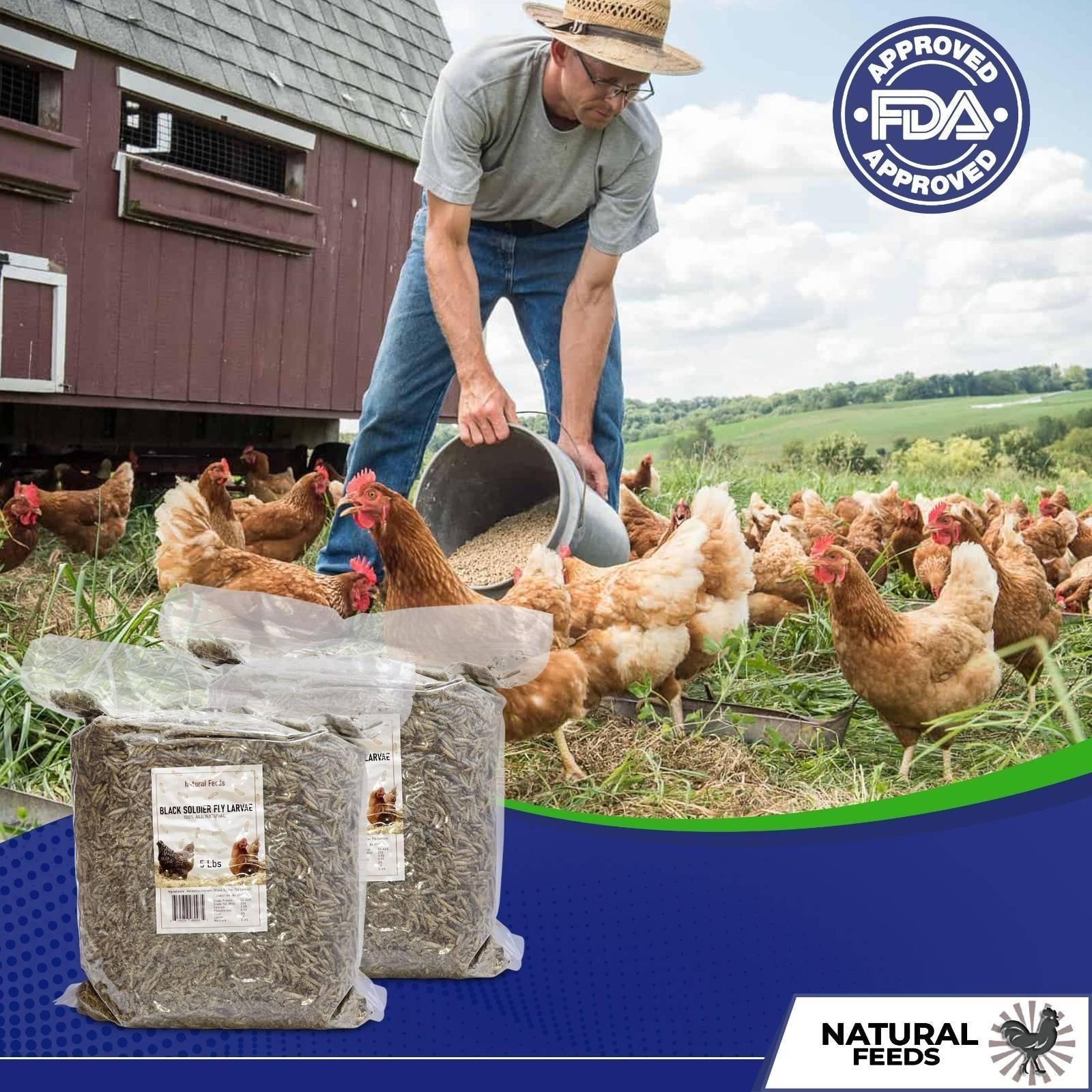 Natural Feeds – All Natural Chicken Feed Supplement